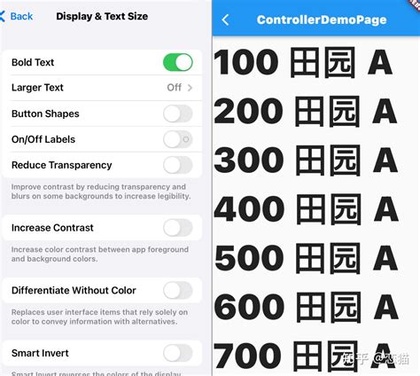 Flutter 小技巧之玩转字体渲染和问题修复 知乎