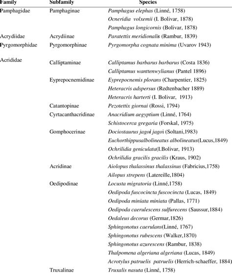 Classification And Inventory Of Locust And Grasshopper Species In The Download Scientific