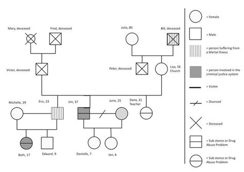 3 Generation Genogram Examples Wisesery