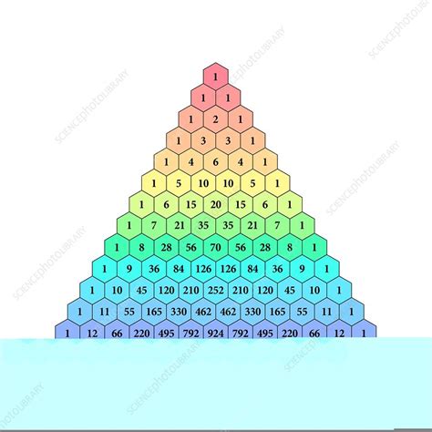 Pascals Triangle Stock Image C013 7150 Science Photo Library