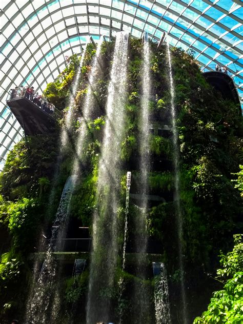 Green Trees Inside Glass Building Photo Free Gardens By The Bay Te22 Image On Unsplash