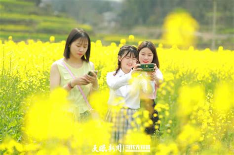 岑巩县注溪镇：满目金黄春意浓 农旅融合走新路种植油菜花农业
