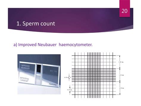 Semen Analysis Pptpptx