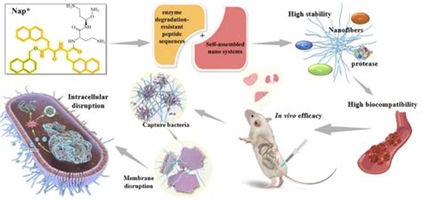 Integrating An Enzyme Degradation Resistant Sequence Into Self Assembled Nanosystems To Overcome