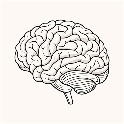 Premium Vector Brain Outline Vector Illustration 26