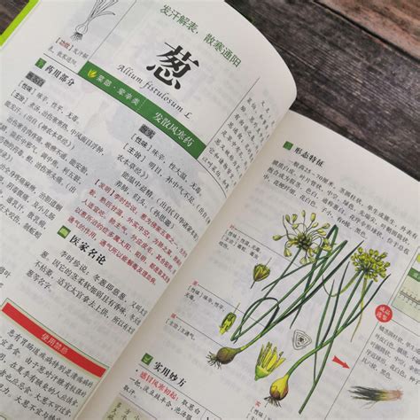 彩色图解版本草纲目正版李时珍原著全套本草纲目彩图版白话文养生书籍中医正版中草药彩图大全书黄帝内经中医畅销书籍大全虎窝淘