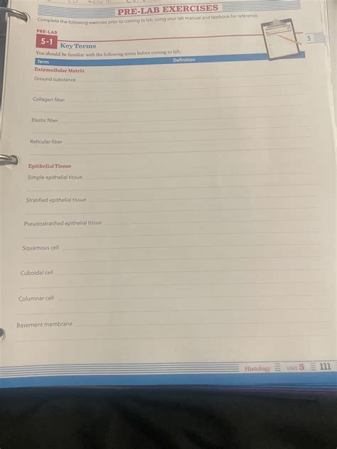 Solved PRE LAB EXERCISESComplete The Following Exercises Chegg Com