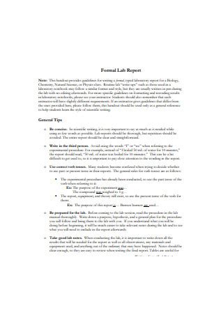 48 SAMPLE Lab Reports In PDF MS Word Excel