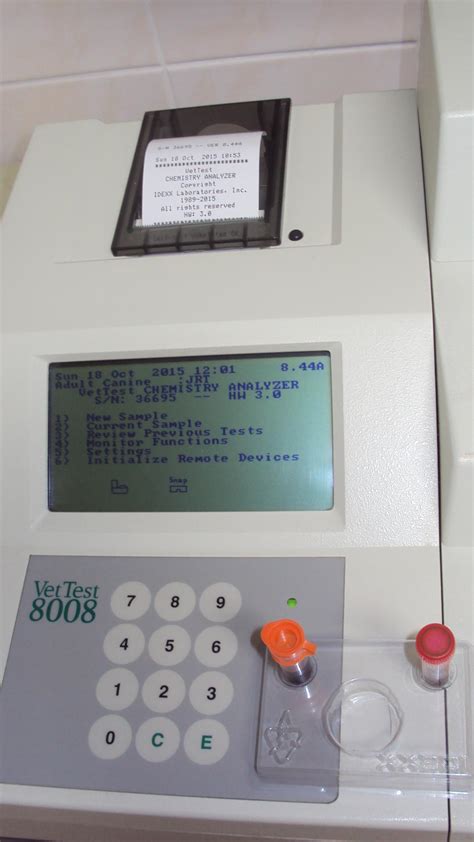 Preoperative Examination Of Patient Surgery