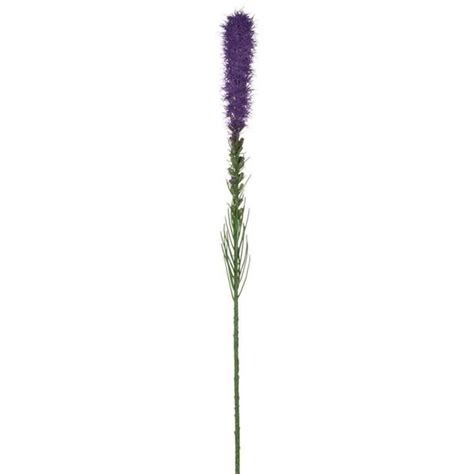 Sullivans Liatris Stem Bed Bath And Beyond 30933550