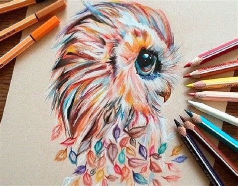 نقاشی جغد برای کودکان؛ رنگ آمیزی جغدهای مهربان و زیبا ستاره