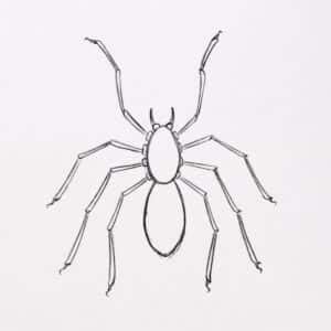 How To Draw A Spider With Amazing Details