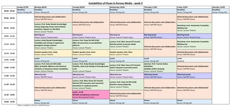 Instabilities Of Flows In Porous Media MATRIX