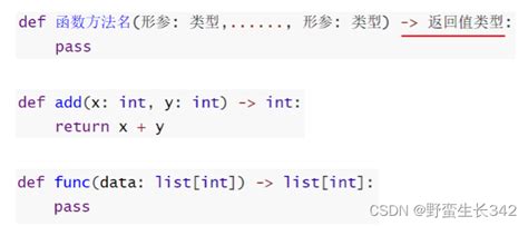 PYthon入门类型注解 python 类型注解 CSDN博客