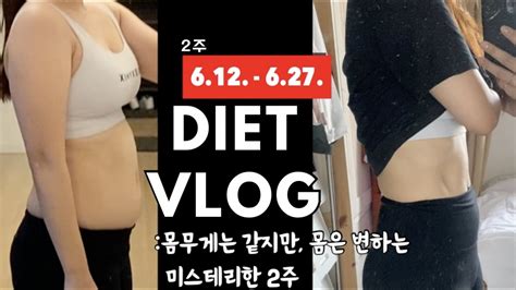 Diet 2주 브이로그 허벅지 돌려깎기 심으뜸 복근운동 눈바디 다이어트 식단 유부두부 계란 공복조깅 인터벌 러닝 직장인 다이어트 다이어트 도시락 다이어트
