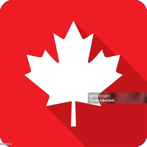 Maple Leaf Vector