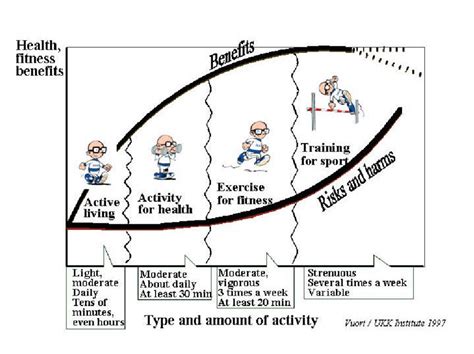 The Association Between Amount Of Physical Activity And Effect On Download Scientific Diagram