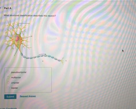 What Structural Classification Describes This Neuron