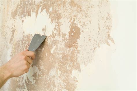 Repairing Plaster After Removing Wallpaper At Adolph Grier Blog