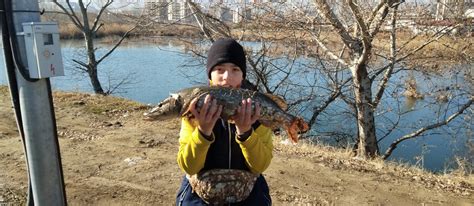 თევზაობა საქართველოში დიღმის ჭალებში ვობლერზე