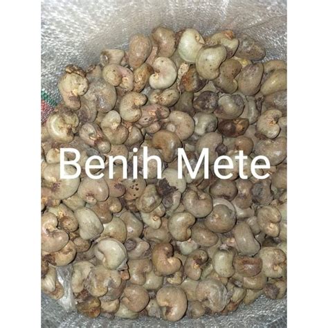 Jual Benih Biji Mete Super Per Kg Shopee Indonesia