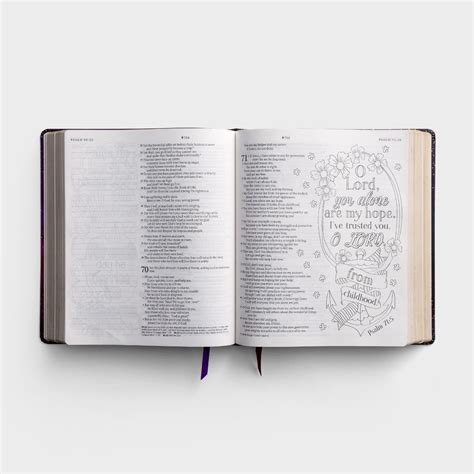 Tyndale Inspire Prayer Bible Giant Print Nlt Filament Dayspring