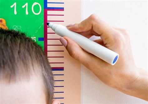 Specific Epithet Definition And Examples Biology Online Dictionary