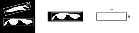 Eye Minimum Bounding Rectangle Download Scientific Diagram