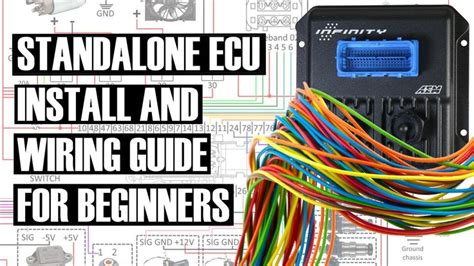 Beginners Guide To Ecu Install And Wiring