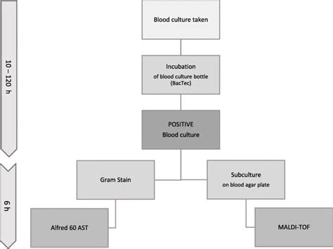 Laboratory Workflow Pathway At Todd Briggs Blog