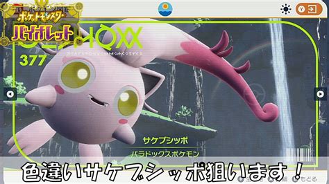色違いサケブシッポ狙います！【ポケモンsv】【初見、コメント歓迎】 Youtube