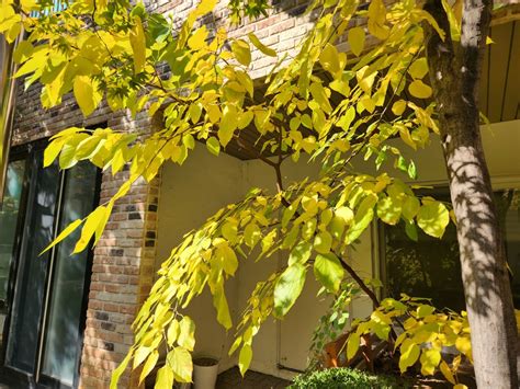 나뭇잎은 변하지만 사람은 변치 않길