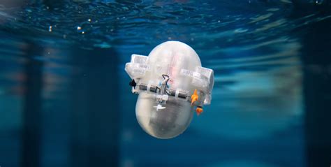 Scientists Teach AI To Navigate Ocean With Minimal Energy Mirage News
