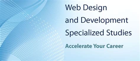 Essential Steps For Successful Web Development Projects