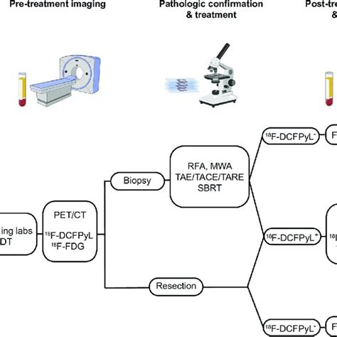 Protocol Schema Patients Who Have Lirads 4 Or 5 Lesions On Standard