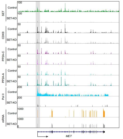 Cutandtag Rna Seq关联分析的 5 个套路 知乎