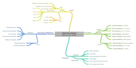 Multi Store Model Atkinson And Shiffrin Evaluation Strenghts Clear…