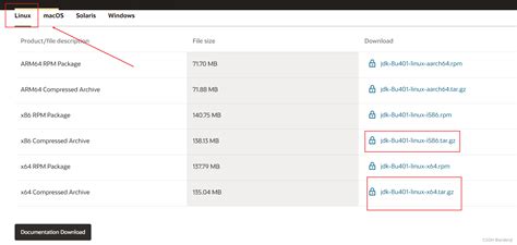 Linux配置jdk环境 Csdn博客