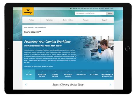 Sitecore Developer Content Management System Starkmedia