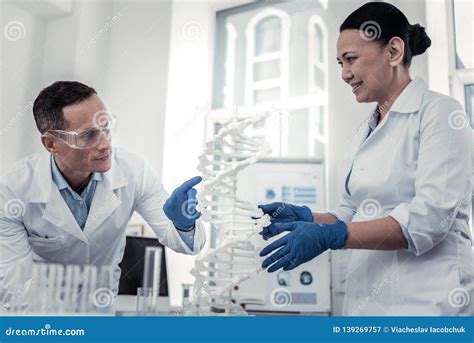 Scientists Working With The Dna Plastic Model Stock Image Image Of Employment Formula 139269757