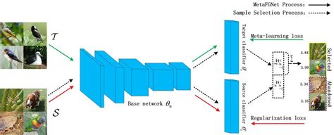 Illustrations Of Metafgnet With Regularized Meta Learning Objective