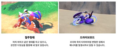 전설환상 포켓몬 봇さんの人気画像 ついふぁん！