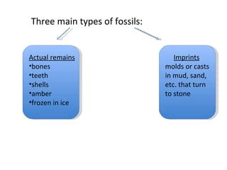 Fossils PPT