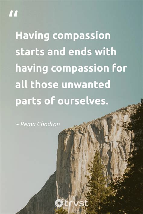 63 Compassion Quotes Encouraging Empathy And Kindness 2025