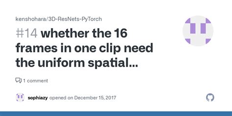 Whether The 16 Frames In One Clip Need The Uniform Spatial Transform