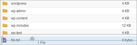 subfolder basics