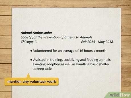 How Many Bullet Points Per Job On Resume Tips And Examples