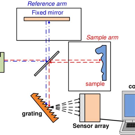 System Setup Of Sd Oct Download Scientific Diagram