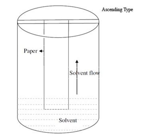 Paper Chromatography Diagram Stationary Phase