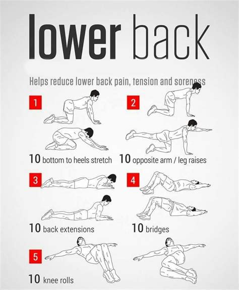 9 Lower Back Exercises Ideas To Save Today Back Exercises Lower Back